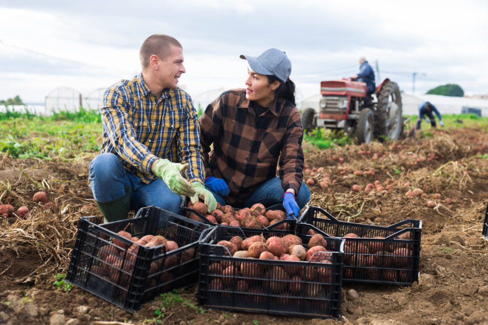 AgriLoop | High-value products from agricultural residues through sustainable chains